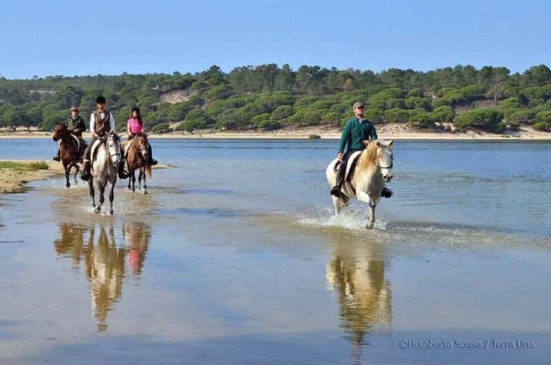 Lisbon: Horse Riding at the Beach with Lunch - An In-Depth Look at the Experience