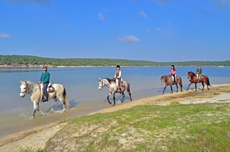 Lisbon: Horse Riding at the Beach with Lunch - Final Thoughts