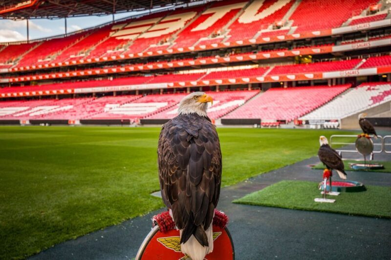 Lisbon: Luz Stadium Tour & SL Benfica Museum Entry - FAQ