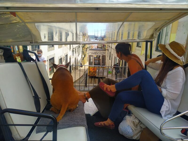 Lisbon: Old City Premium Private Guided Tour by Tuk-Tuk - Key Points