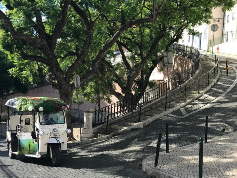 Lisbon: Old City Premium Private Guided Tour by Tuk-Tuk - Who Will Love This Tour?