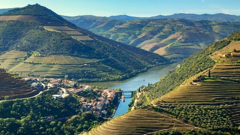 Lisbon: One Way to Douro Valley through Coimbra and Obidos - Included & Not Included: What You’re Paying For