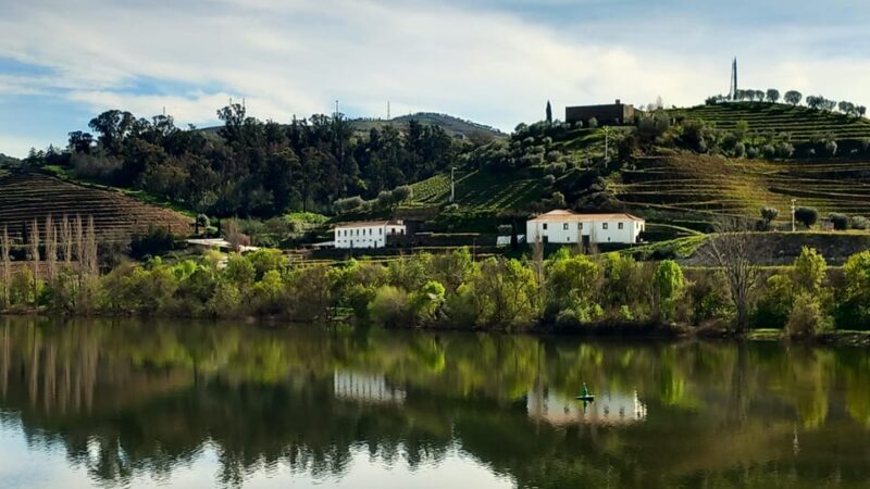 Lisbon: One Way to Douro Valley through Coimbra and Obidos - Practical Details & Tips