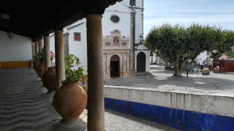 Lisbon: One Way to Douro Valley through Coimbra and Obidos - Who Would Love This Tour?