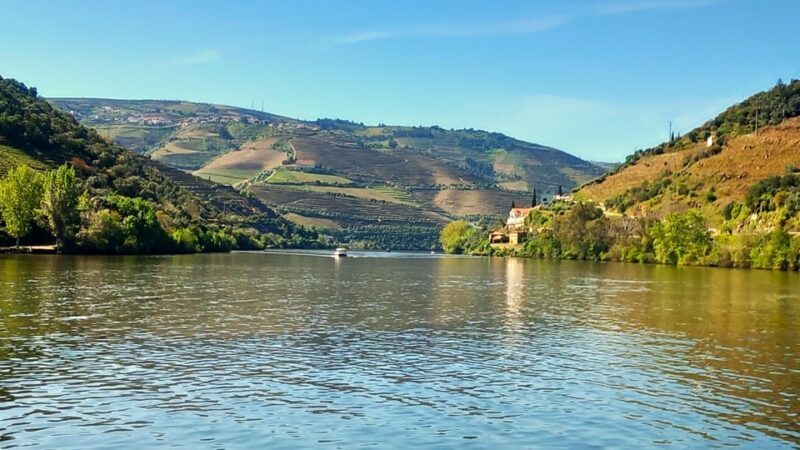 Lisbon: One Way to Douro Valley through Coimbra and Obidos - The Sum Up