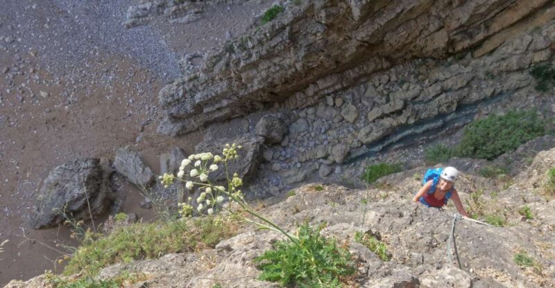 Lisbon or Sesimbra: Guided Rock Climbing Tour in Arrábida - Who Will Love This Tour?