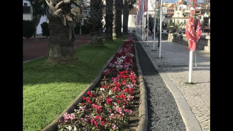 Lisbon: Pena Palace, Sintra, Cascais, and Cabo Roca Day Trip - The Itinerary: What Makes Each Stop Special