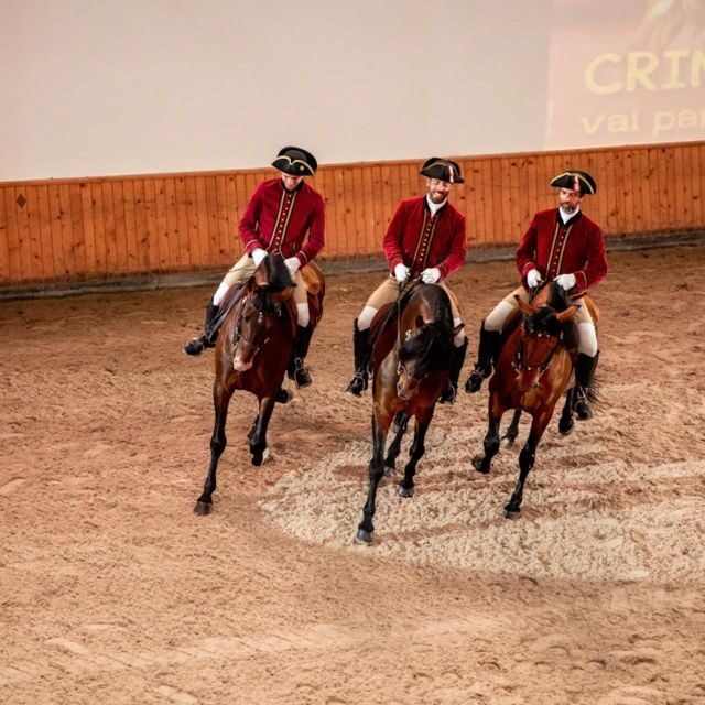 Lisbon: Portuguese Riding School Trainig with Lusitano Horse - A Closer Look at What to Expect