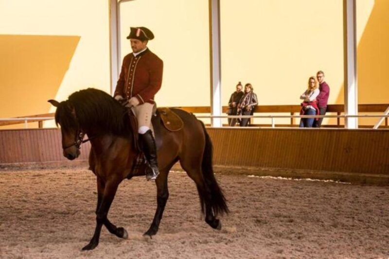 Lisbon: Portuguese Riding School Trainig with Lusitano Horse - Who Will Love This Tour?