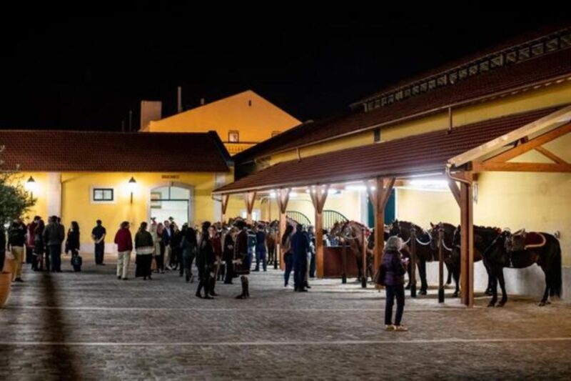 Lisbon: Portuguese Riding School Trainig with Lusitano Horse - FAQ