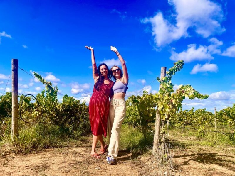 Lisbon: Private All Inclusive Setúbal & Arrábida Wine Tour - Key Points