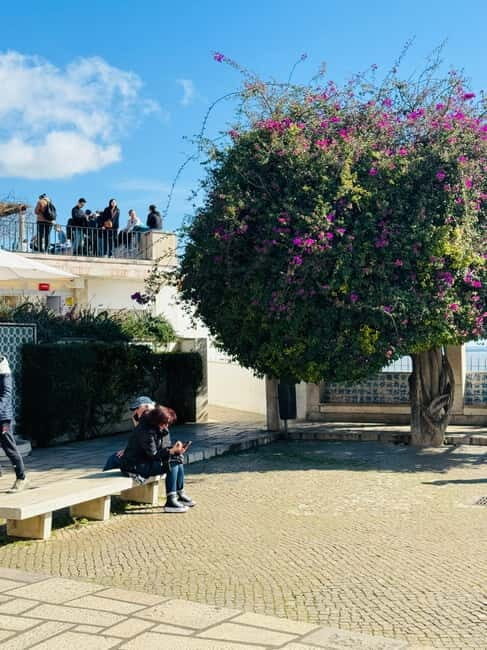 Lisbon: Private City Tour by Eco TukTuk - Authentic Experiences and Reviews