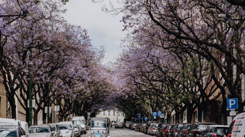 Lisbon: Private City Tour by Tuk-Tuk - Key Points