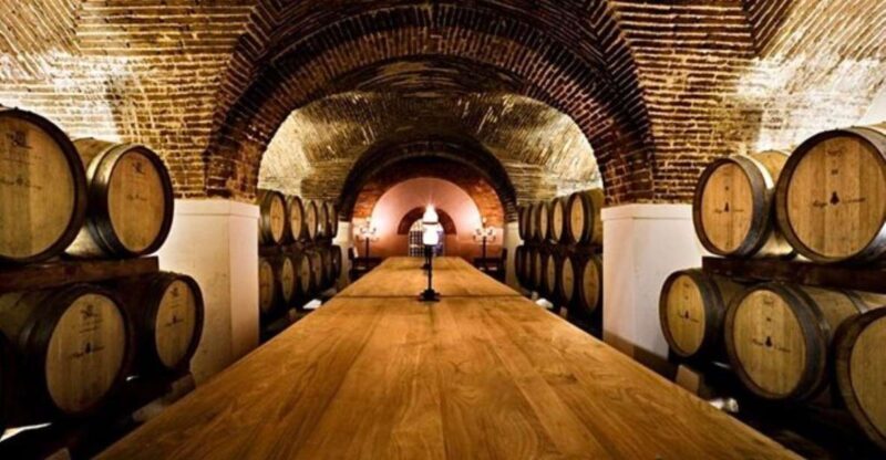 Lisbon: Private Full Day Evora & Alentejo Wine Tour - An Honest Look at the Tour Experience
