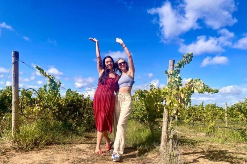 Lisbon: Private Full Day Evora & Alentejo Wine Tour - Final Words