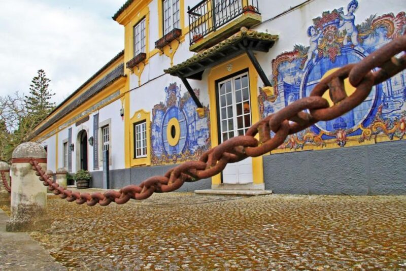 Lisbon: Private Full-Day Wine Tasting Tour in a premium car - An In-Depth Look at the Experience
