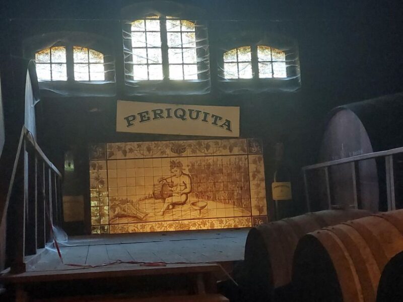 Lisbon: Private Full-Day Wine Tasting Tour in a premium car - The Realities and Considerations