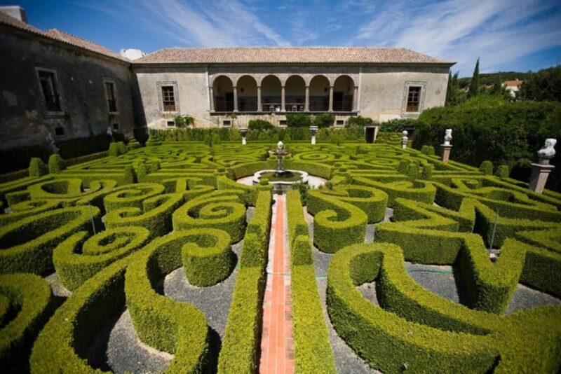 Lisbon: Private Full-Day Wine Tasting Tour in a premium car - Who Is This Tour Best For?