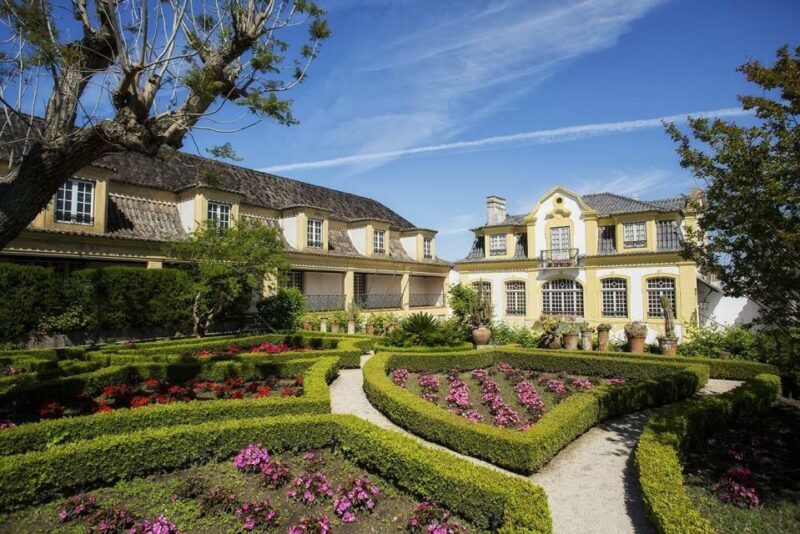 Lisbon: Private Full-Day Wine Tasting Tour in a premium car - FAQ