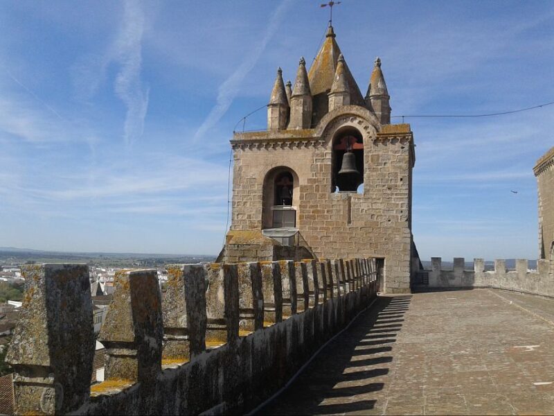 Lisbon: Private Tour to Évora and Cork Factory - An In-Depth Look at the Tour Experience