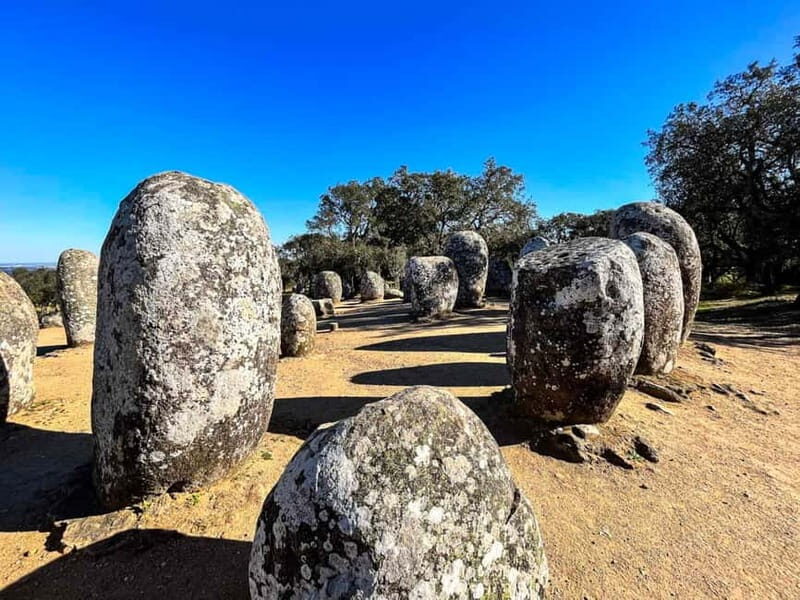 Lisbon: Private Tour to Evora with Private Transport & Guide - Final Thoughts