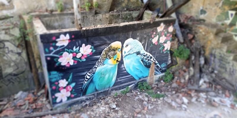 Lisbon: Private Tuk-Tuk Street Art Tour for 2,5 hours - Frequently Asked Questions