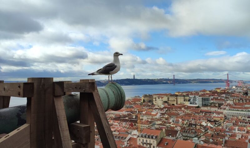 Lisbon: Saint George's Castle Entry Ticket and Guided Visit - An Authentic Peek into Lisbon’s Skyline and History