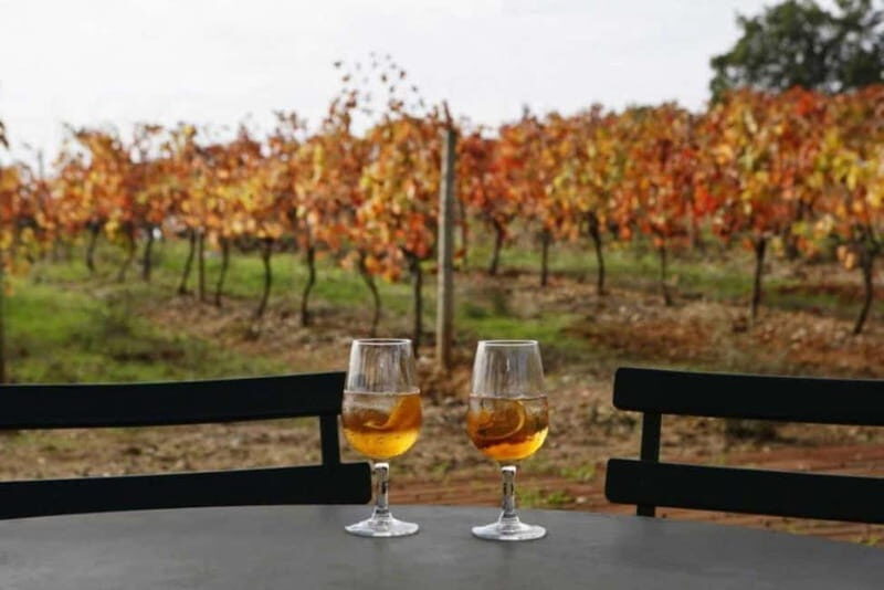 Lisbon: Setúbal, Arrábida and Azeitão Private Wine Tour - What to Expect on the Day