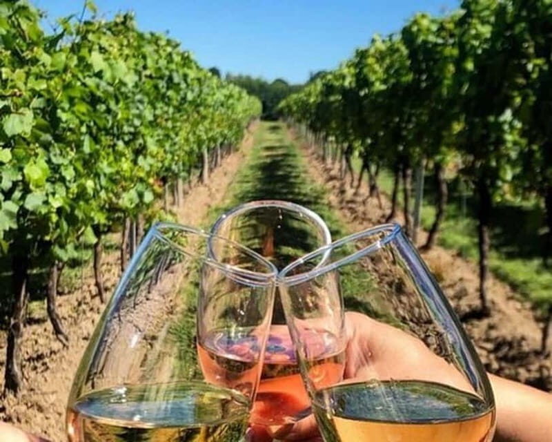 Lisbon: Setúbal, Arrábida and Azeitão Private Wine Tour - Final Thoughts