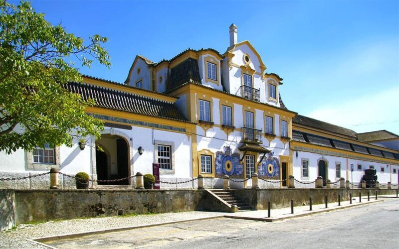 Lisbon: Setúbal Peninsula Tour with Wine Tasting & Local - FAQs
