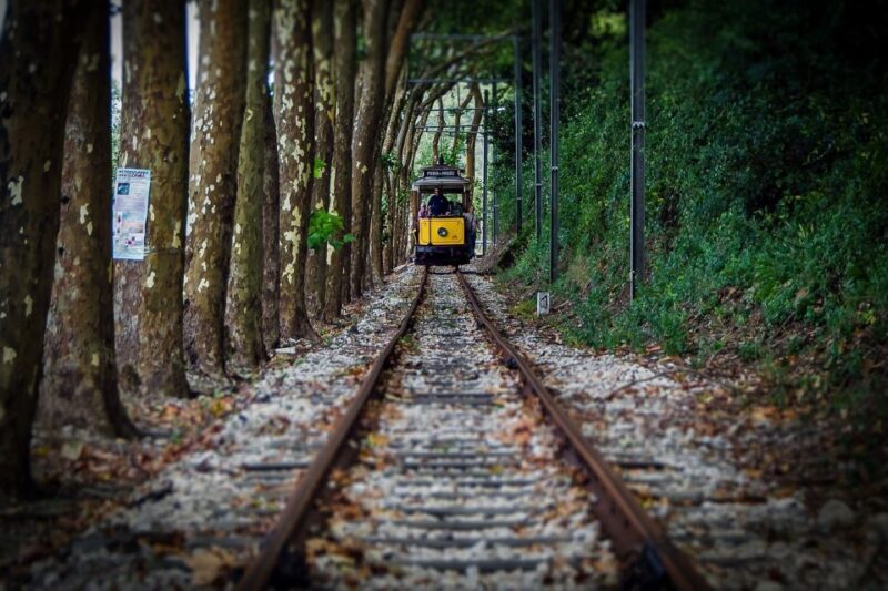 Lisbon, Sintra and Cascais: Full-Day Private Tour - The Sum Up