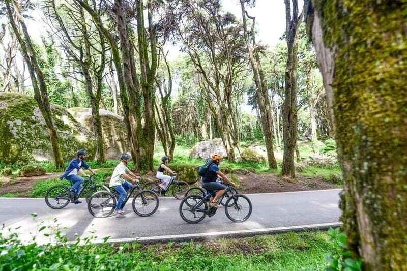Lisbon: Sintra Magical e-Bike Tour + Lunch & Pena Palace - Key Points