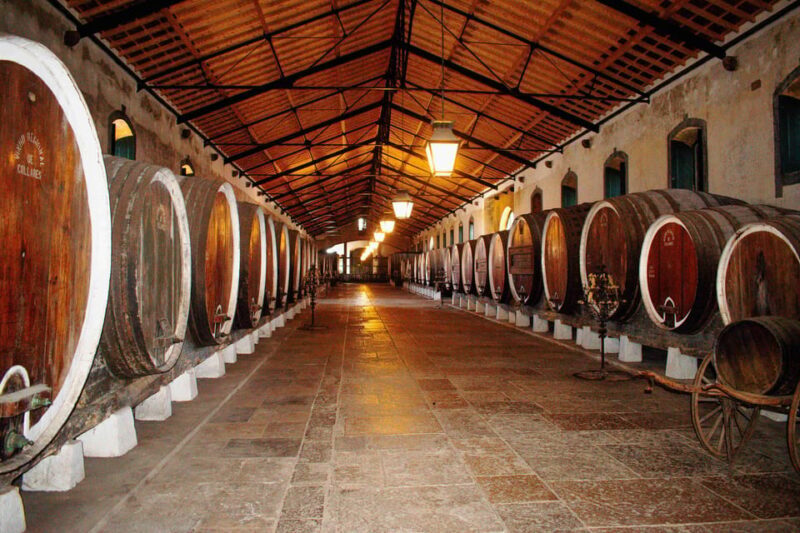 Lisbon: Sintra Off the Beaten Path Tour with Wine Tasting - Who Is This Tour Best For?