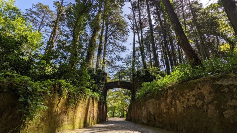 Lisbon: Sintra, Pena, Regaleira, Cabo da Roca & Cascais - Wrapping Up: Is This Tour for You?