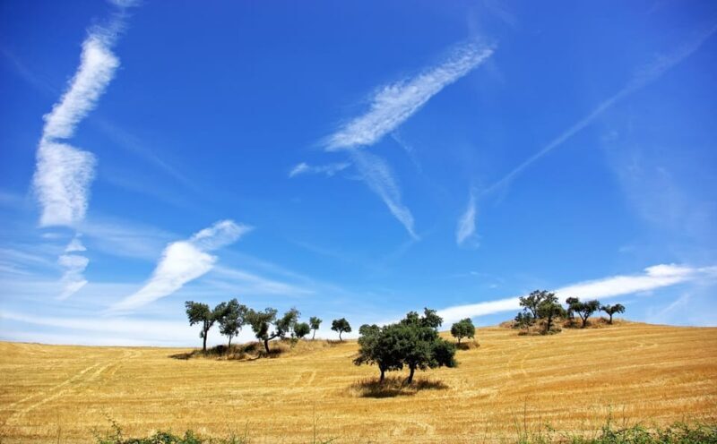 Lisbon: Small-group Évora Historical and Alentejo Wine Tour - FAQs