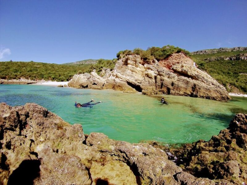 Lisbon: Snorkeling and Wine Tasting in Arrábida - Introduction to the Tour Experience