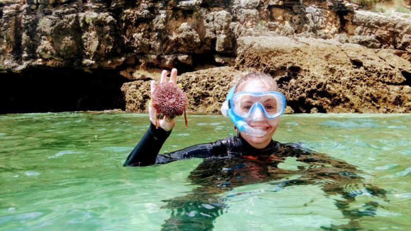 Lisbon: Snorkeling and Wine Tasting in Arrábida - Practical Tips for Travelers