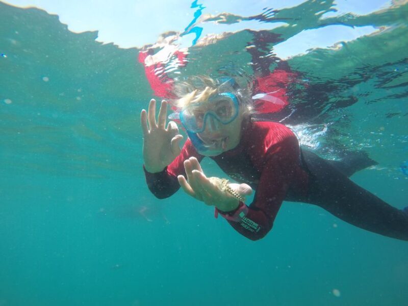 Lisbon: Snorkelling in Sesimbra/Arrábida Natural Park - An In-Depth Look at the Snorkeling Tour