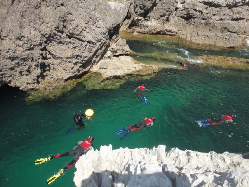 Lisbon: Snorkelling in Sesimbra/Arrábida Natural Park - FAQ