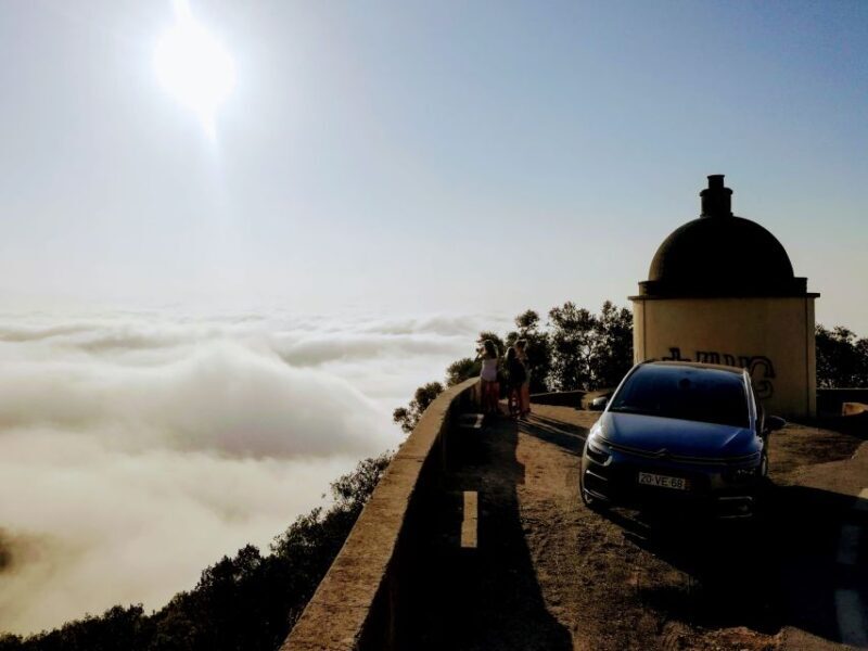 Lisbon: Southern Sights and Wine Private Tour - Authentic Experiences, Real Reviews