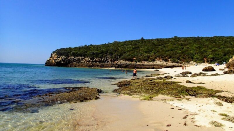 Lisbon: Southern Sights and Wine Private Tour - The Sum Up