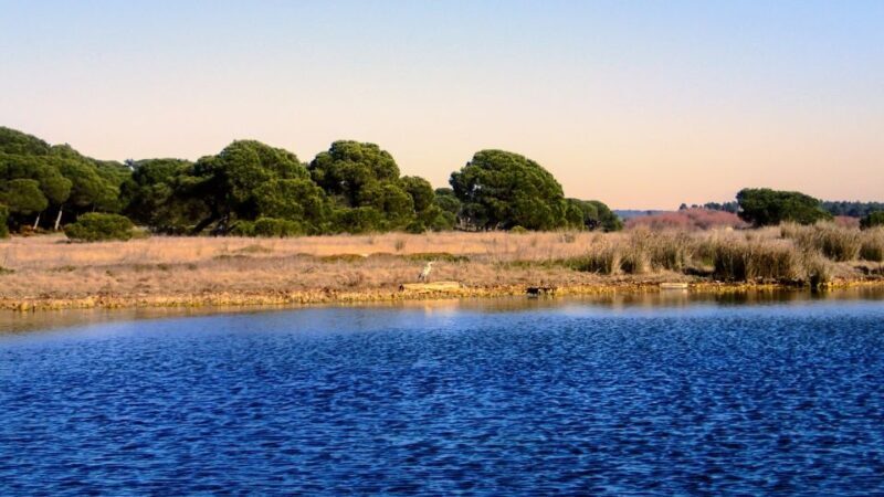 Lisbon: Stand Up Paddle Adventure at Albufeira Lagoon - Who Will Enjoy This Tour?