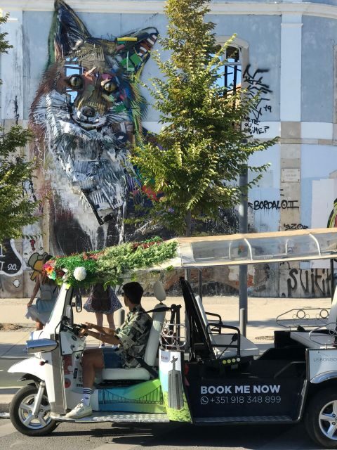 Lisbon: Street Art Private Guided Tour by Tuk-Tuk - A Compact but Rich Journey Through Lisbon’s Street Art