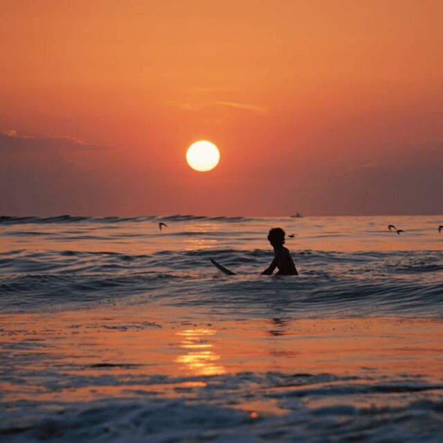 Lisbon: Sunset Surf Experience - Key Points