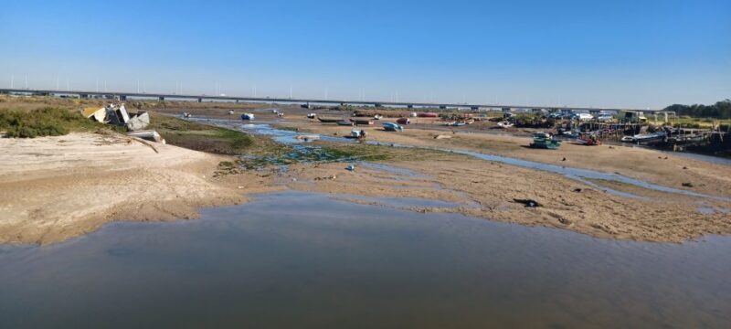Lisbon: Tagus Estuary Nature Reserve Birdwatching Boat Tour - Who Should Consider This Tour?
