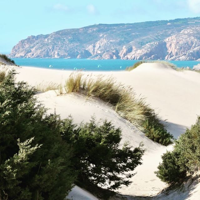 Lisbon: Tailored Tour - The Practical Aspects of the Tour