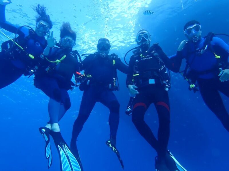 Lisbon: Try Dive in Arrábida Marine Reserve Setubal Sesimbra - An In-Depth Look at the Experience
