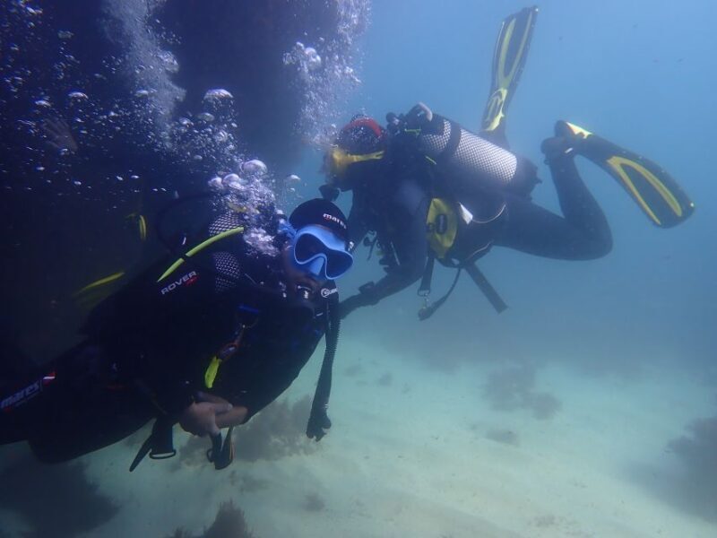 Lisbon: Try Dive in Arrábida Marine Reserve Setubal Sesimbra - Authentic Experiences from Reviewers