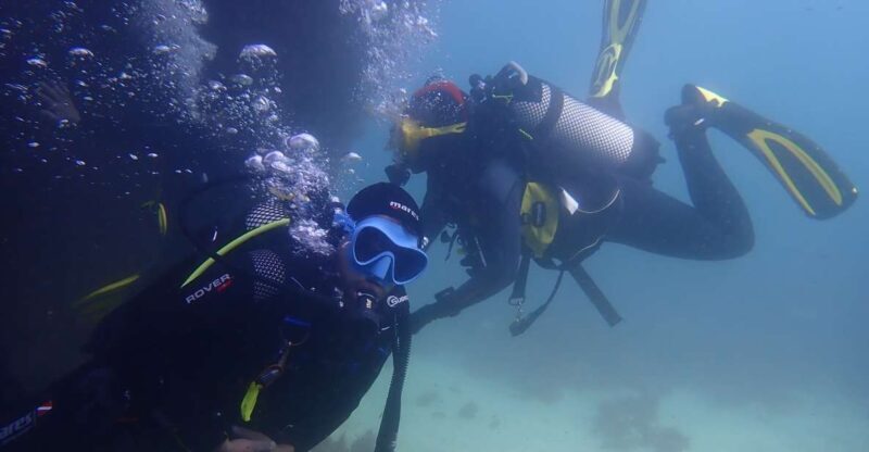 Lisbon: Try Dive in Arrábida Marine Reserve Setubal Sesimbra - Final Thoughts