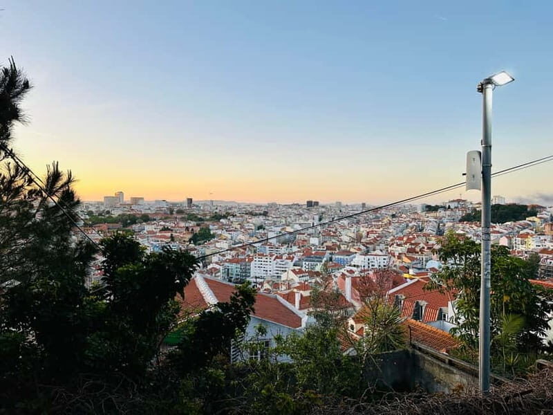 Lisbon Tuk Tuk Tour - Who Will Love This Tour?